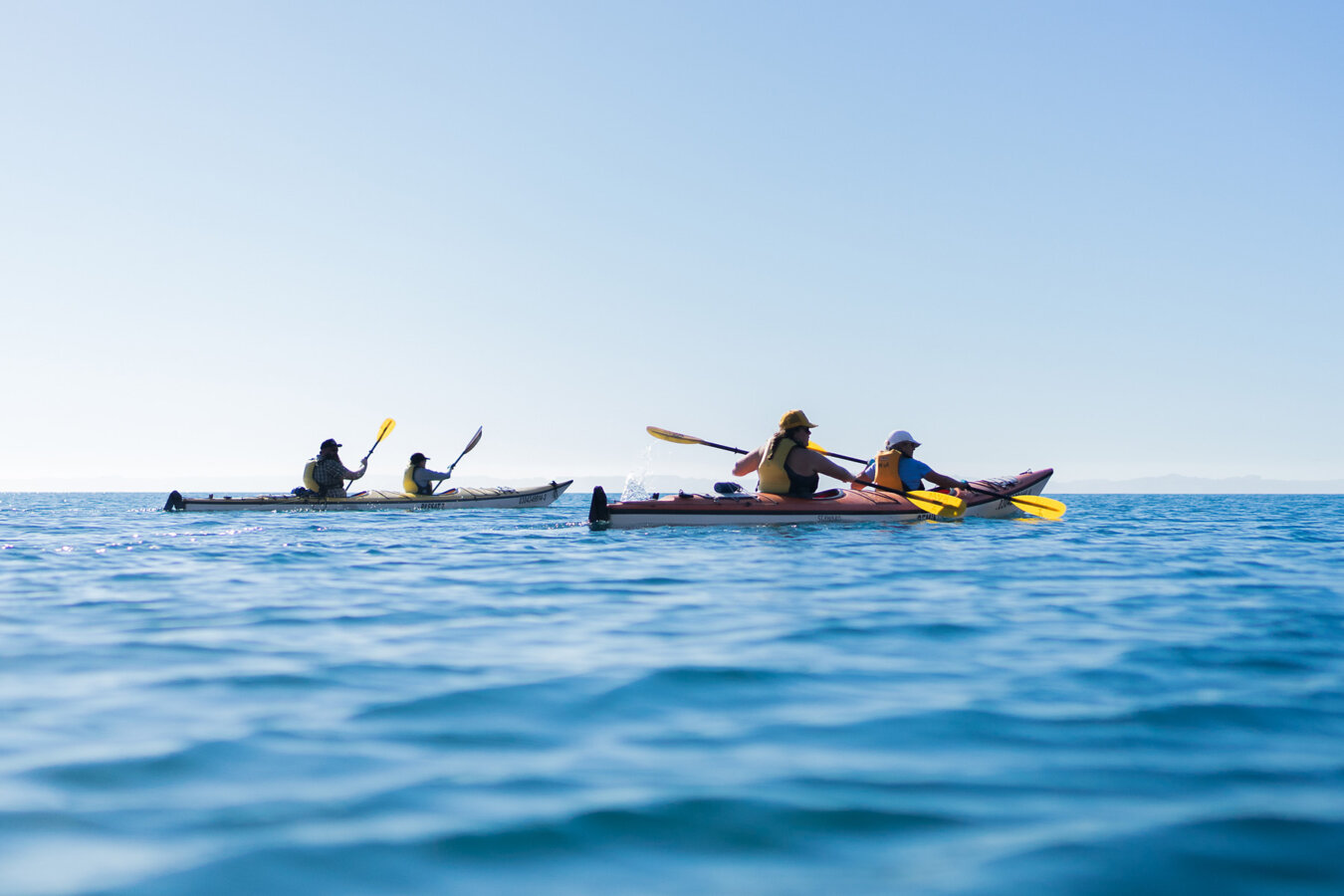 Baja Sea Kayaking & Whale Watching with OARS