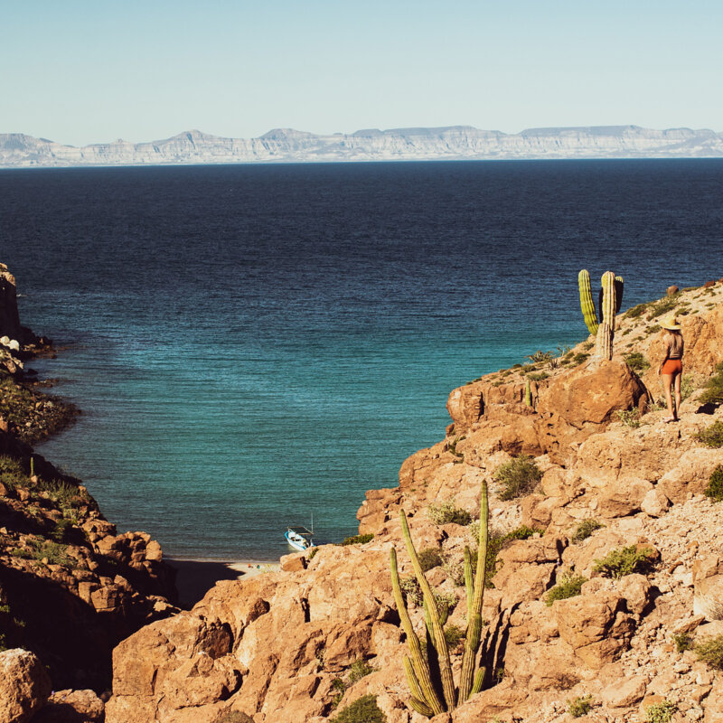 What to Do in Baja Mexico: 9 Unforgettable Experiences – OARS