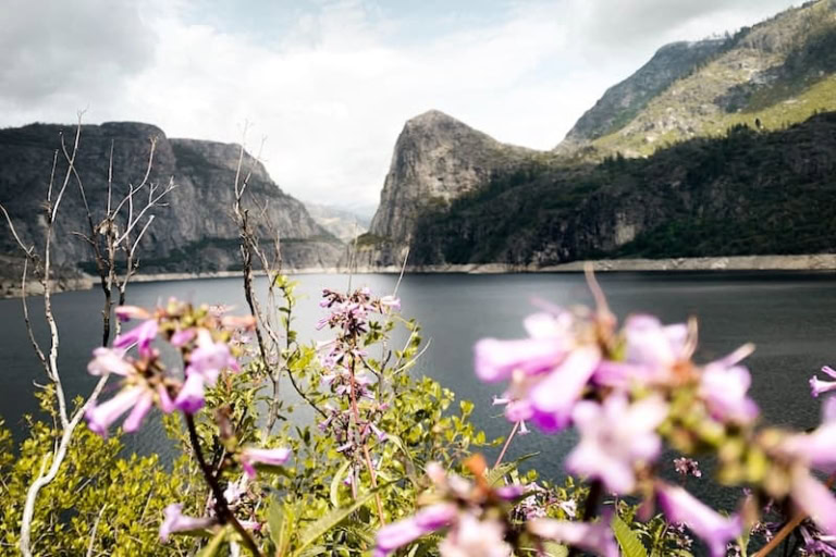 6 Reasons to Visit Yosemite in Spring | OARS