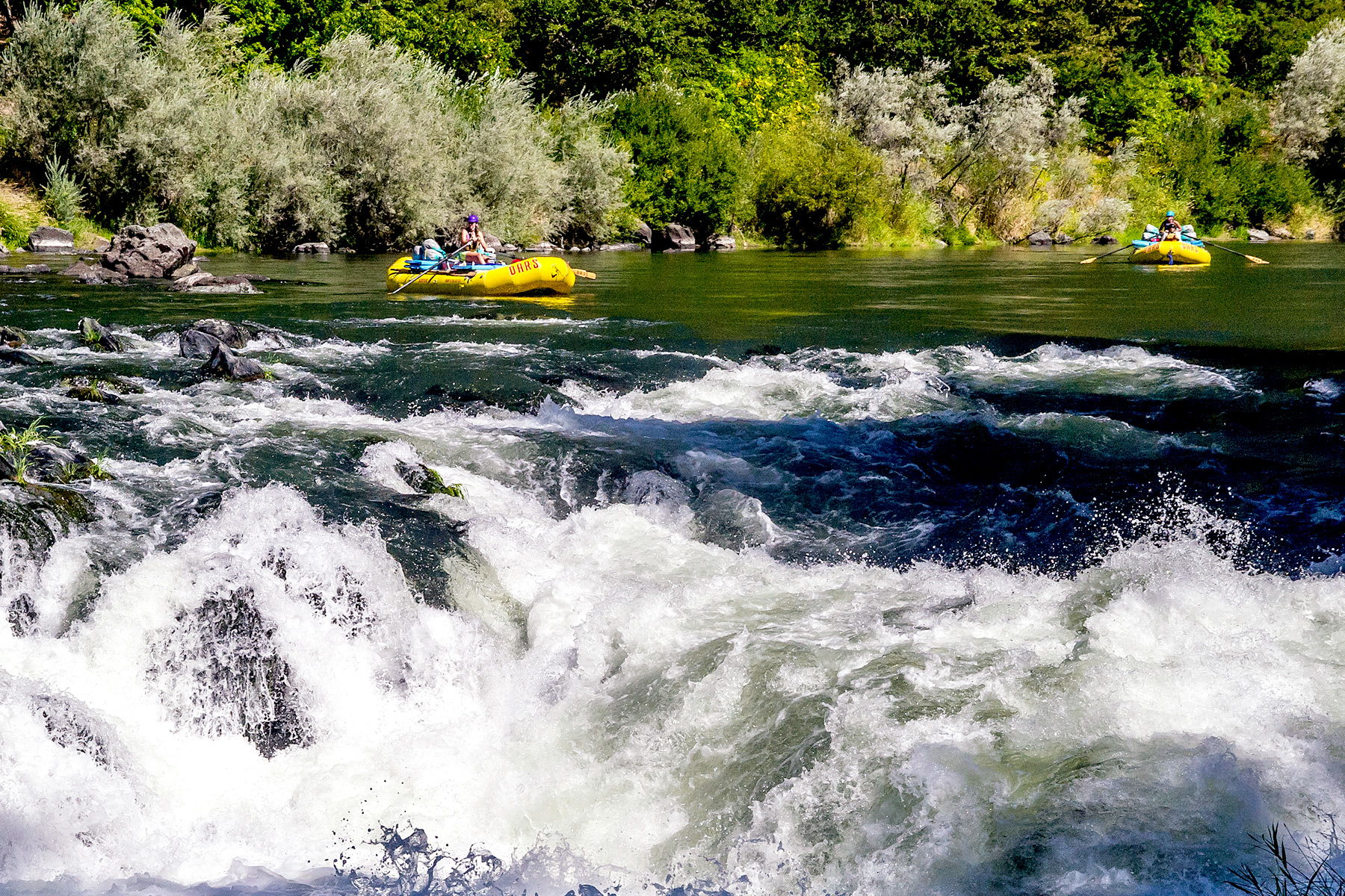 Rogue River Rowing Clinic with OARS