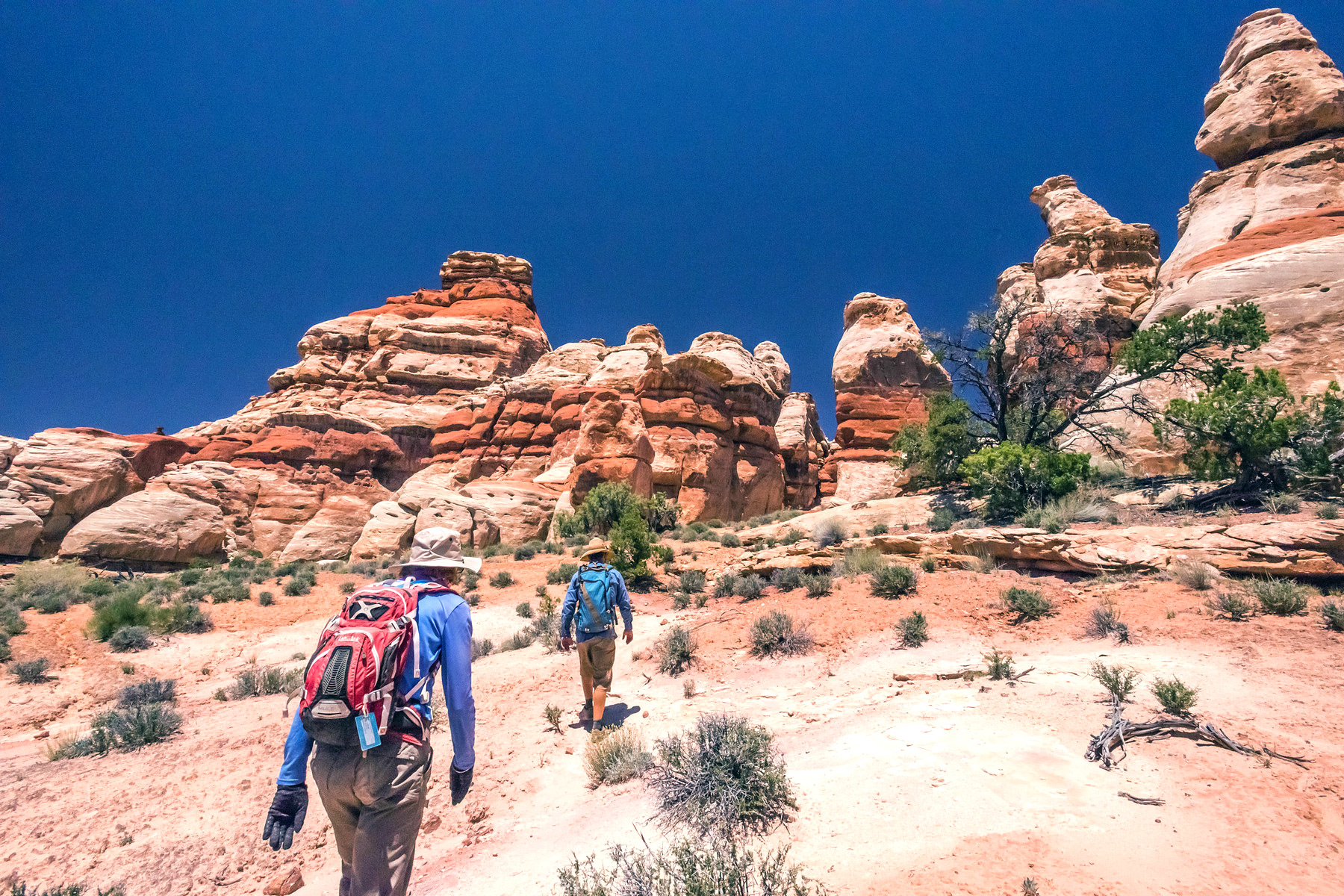 Cataract Canyon Whitewater Rafting - OARS