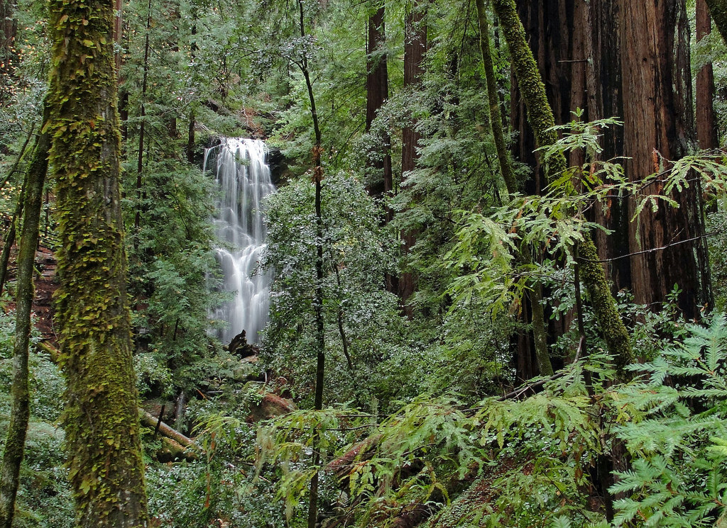 9 Epic Outdoor Adventures from the Bay Area | OARS