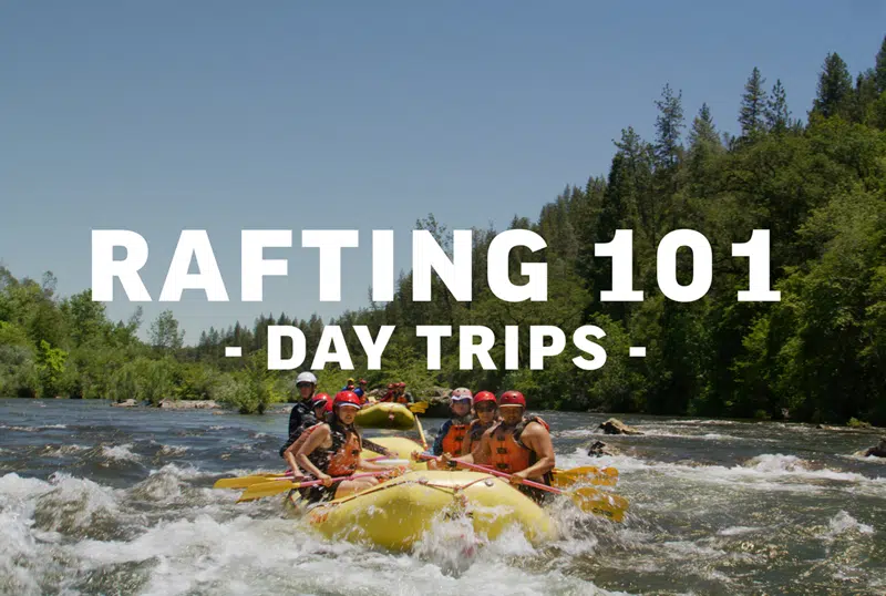 Rafting 101: What to Expect on a 1-Day Trip | Video