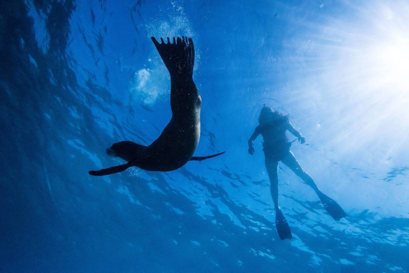The Dos and Don’ts of Visiting the Galápagos – OARS
