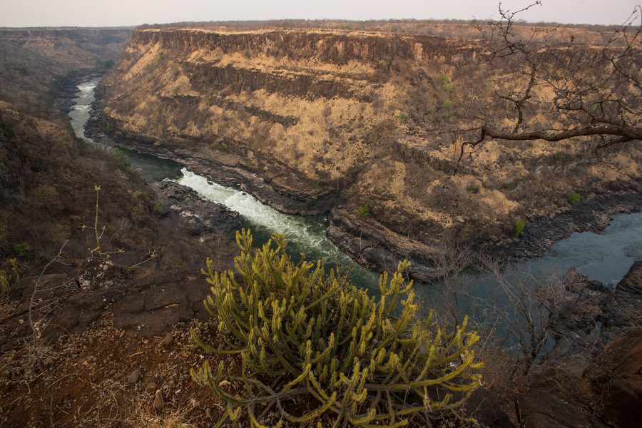 The Zambezi: A River Worth Saving | OARS