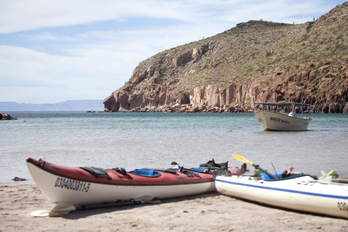 What to Know About Traveling to Baja Right Now – OARS