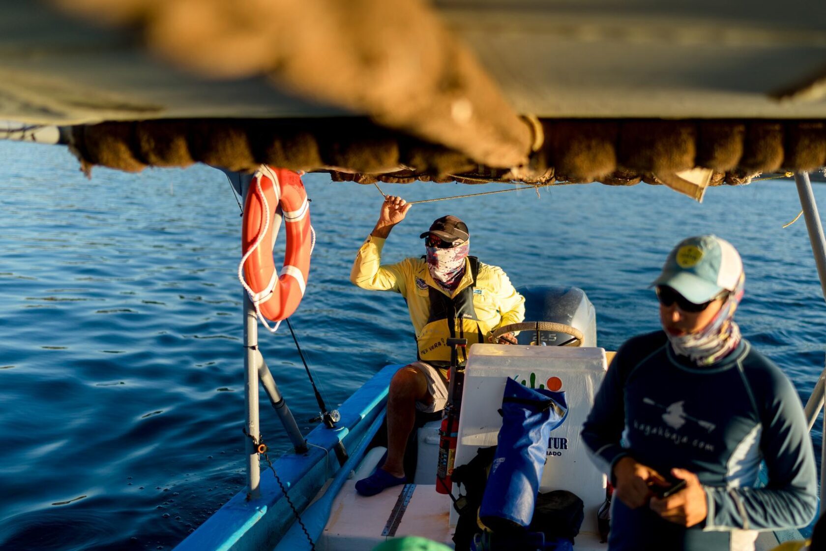 What to Know About Traveling to Baja Right Now – OARS